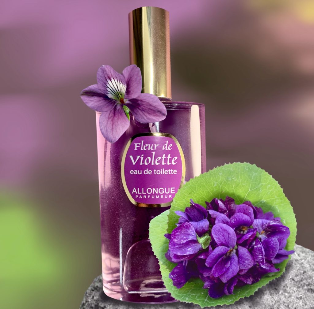 La violette | Les Parfums Allongue